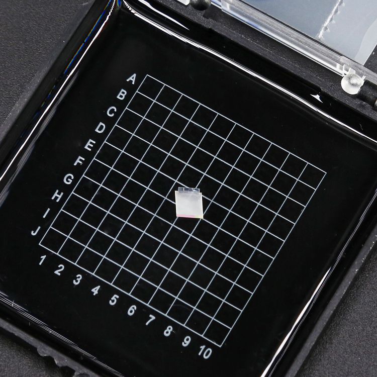 可深度定制4通道CWDM Z-BLOCK, 光谱指标和光口位置定制，应用于100G\400G\800G 高速光模块